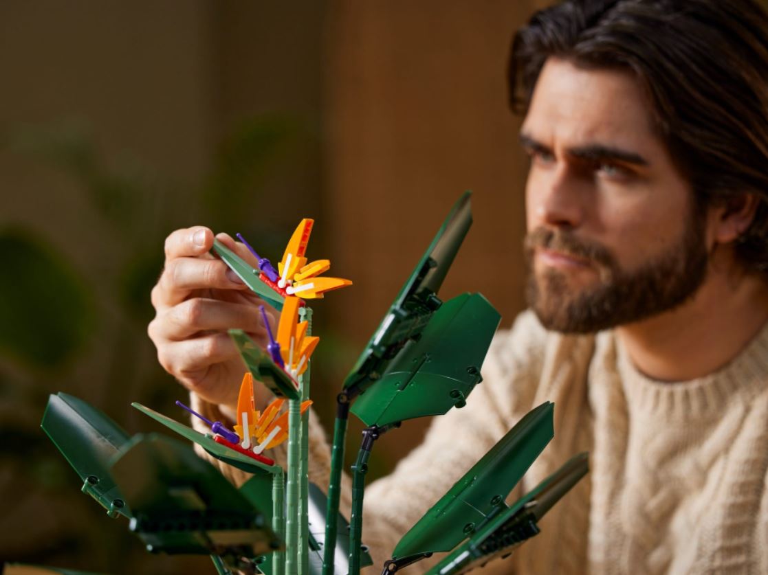 LEGO CREATOR - L'OISEAU DU PARADIS #10289 - LEGO / Creator