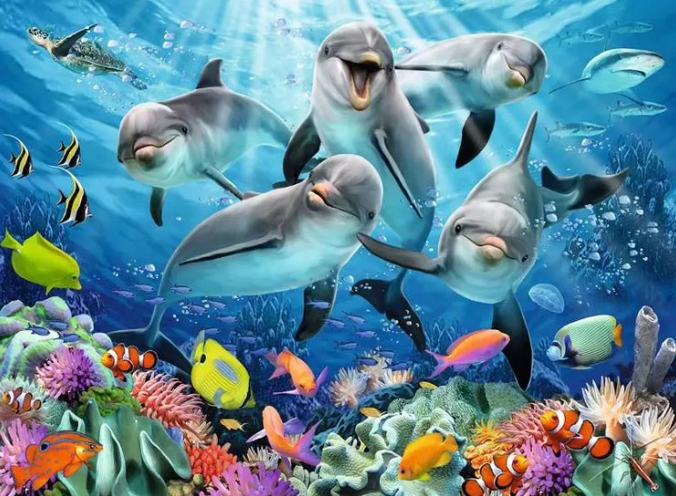 RAVENSBURGER CASSE-TÊTE 500 PIÈCES - DAUPHINS SUR LE RÉCIF DE CORAIL ...
