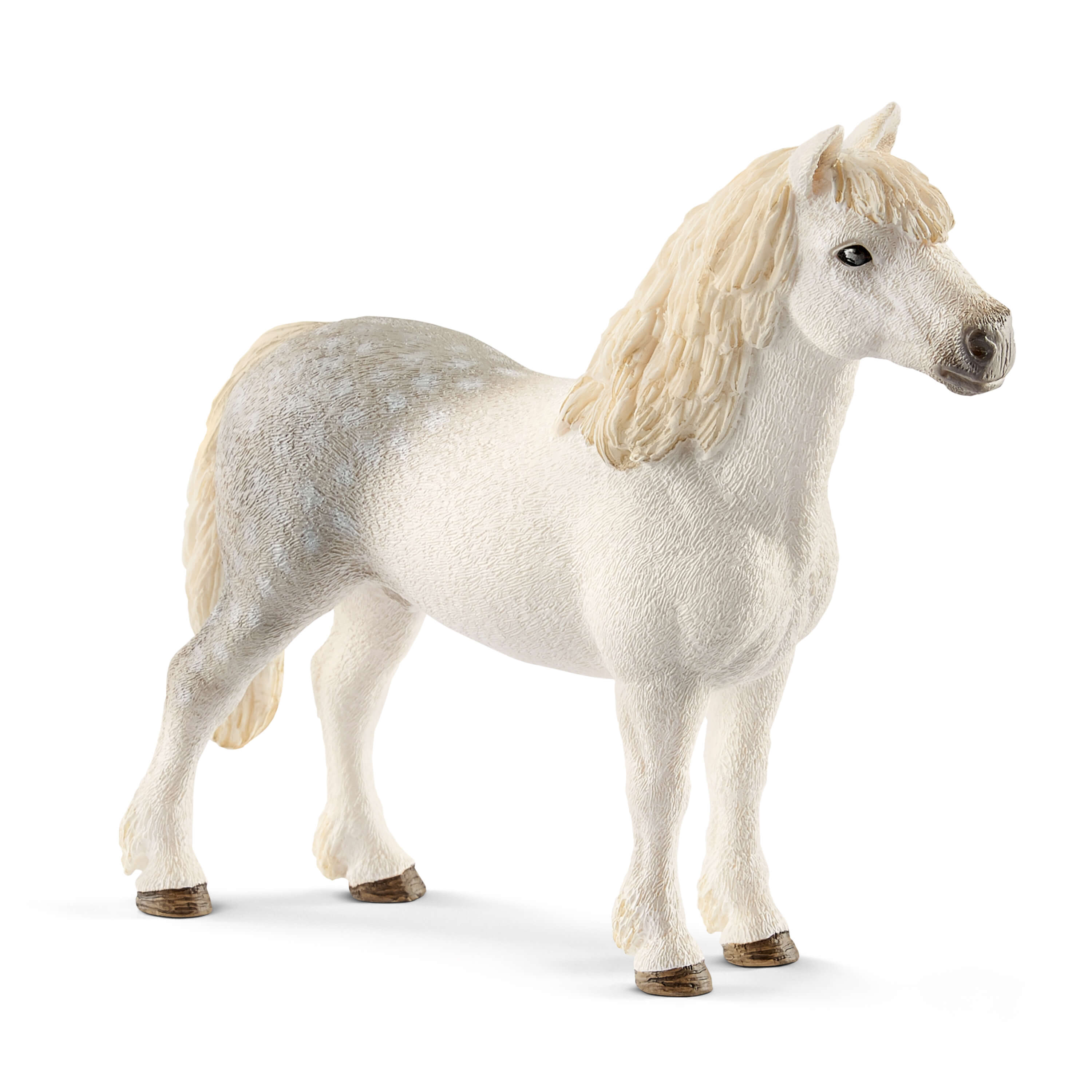 SCHLEICH - PONEY WELSH MÂLE #13871 - SCHLEICH / PAPO / Schleich