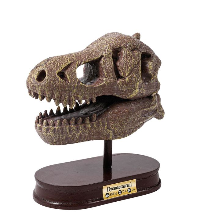 BUKI MUSEUM SKULLS - T-REX - SCIENCES ET MAGIES / Sciences