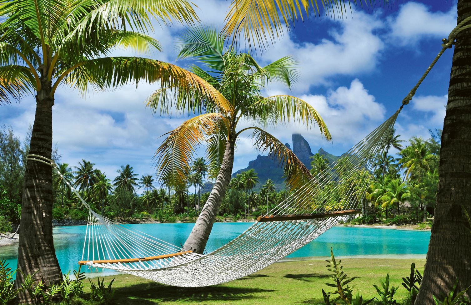 SCHMIDT CASSE-TÊTE 1000 PIÈCES - TEMPS LIBRE #58969 - CASSE-TÊTES ...