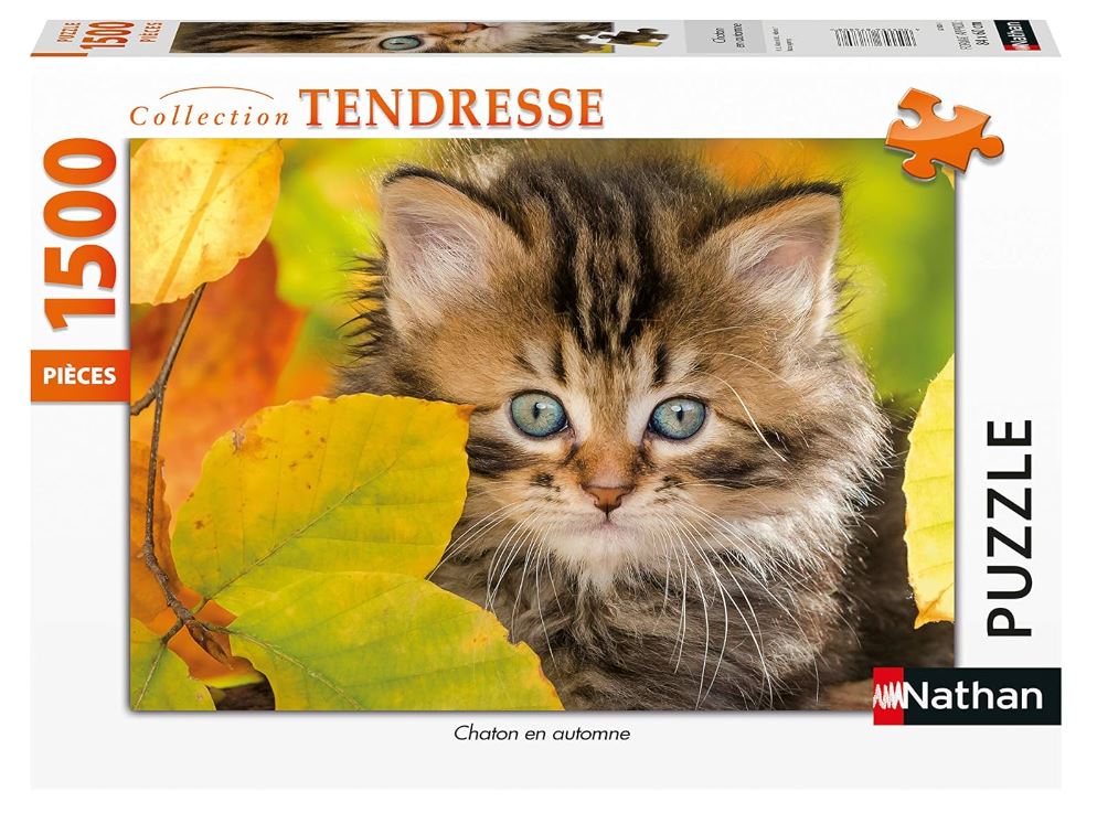 NATHAN CASSE-TÊTE 1500 PIÈCES - CHATON EN AUTOMNE #76-00945 - CASSE ...