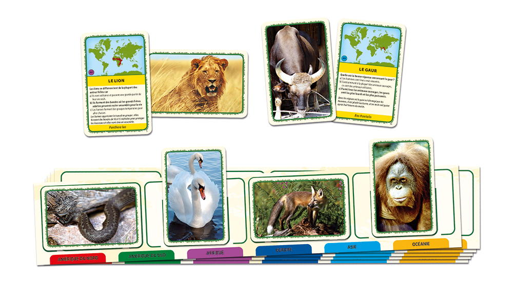 JEU ANIMAUX DU MONDE - JEUX DE SOCIÉTÉ / Enfants (6 à 8 ans)